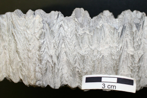 The shatter cone page - ERNSTSON CLAUDIN IMPACT STRUCTURES - METEORITE ...