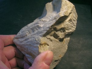 Impact rocks - impactites - ERNSTSON CLAUDIN IMPACT STRUCTURES ...