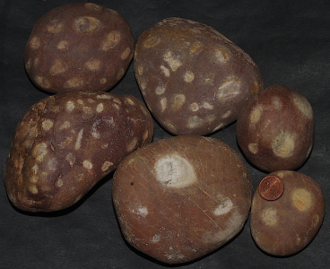 Surface features of the cobbles - ERNSTSON CLAUDIN IMPACT STRUCTURES ...