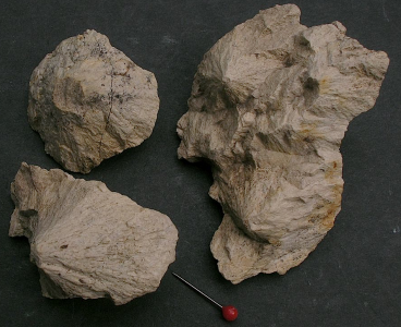 Shatter cones from impact structures worldwide - ERNSTSON CLAUDIN ...