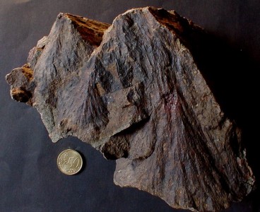 Shatter cones from impact structures worldwide - ERNSTSON CLAUDIN ...