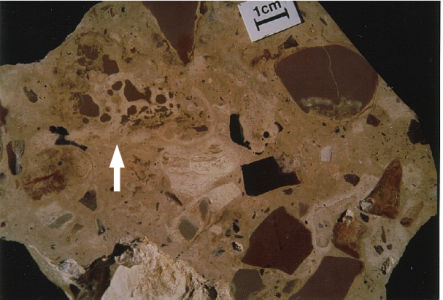 Impact breccias in the Azuara structure - ERNSTSON CLAUDIN IMPACT ...