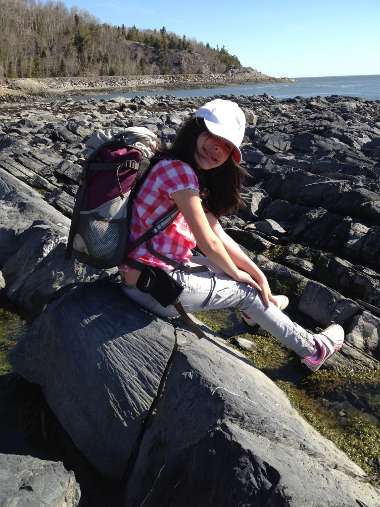 Focusing on the Charlevoix (Quebec, Canada) impact structure - ERNSTSON ...