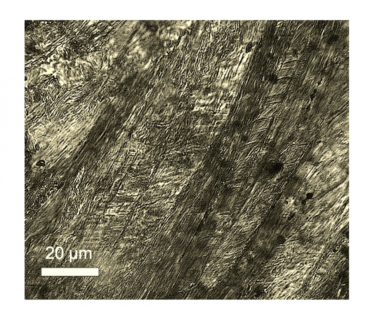 Shock metamorphism in calcite - ERNSTSON CLAUDIN IMPACT STRUCTURES ...