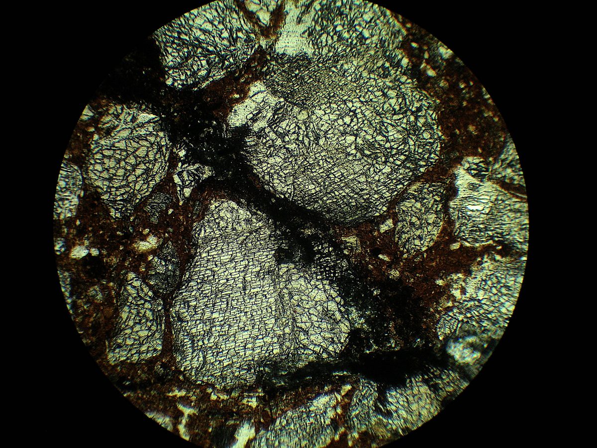 Picture of the month - thermal shock in quartz - ERNSTSON CLAUDIN ...
