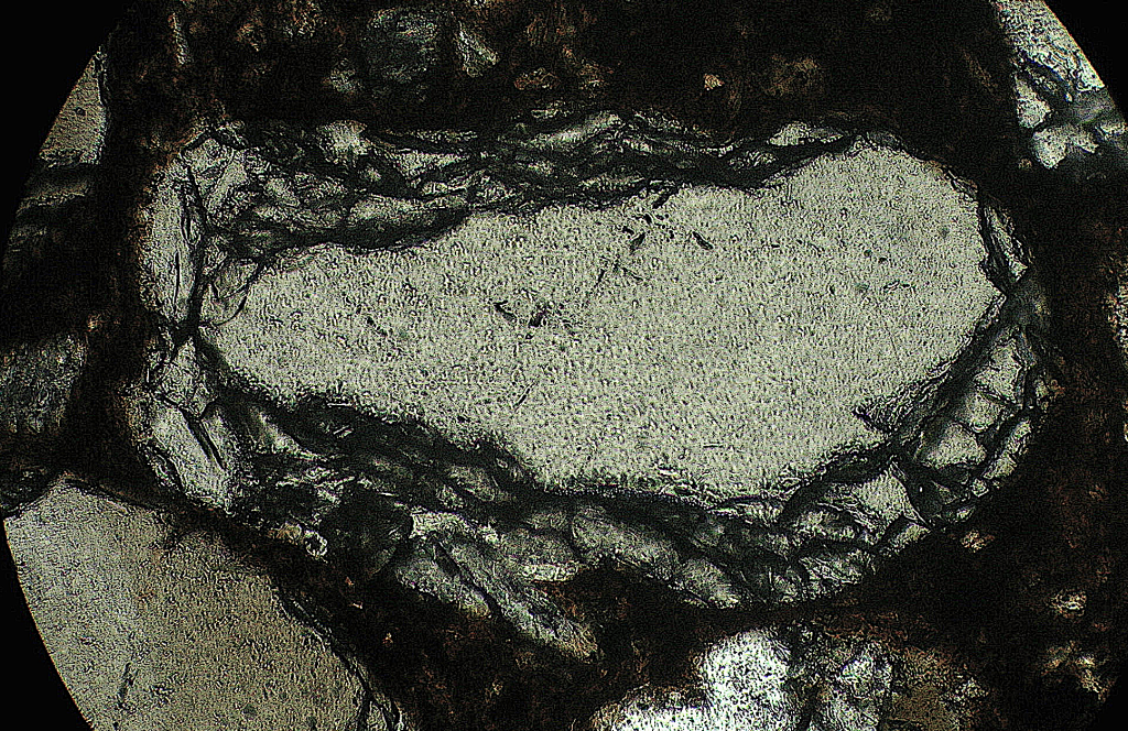 Picture of the month - thermal shock in quartz - ERNSTSON CLAUDIN ...